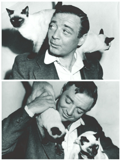 Karma is a cat: Reseña de “El asesino con mala ortografía” en Saltos en ...